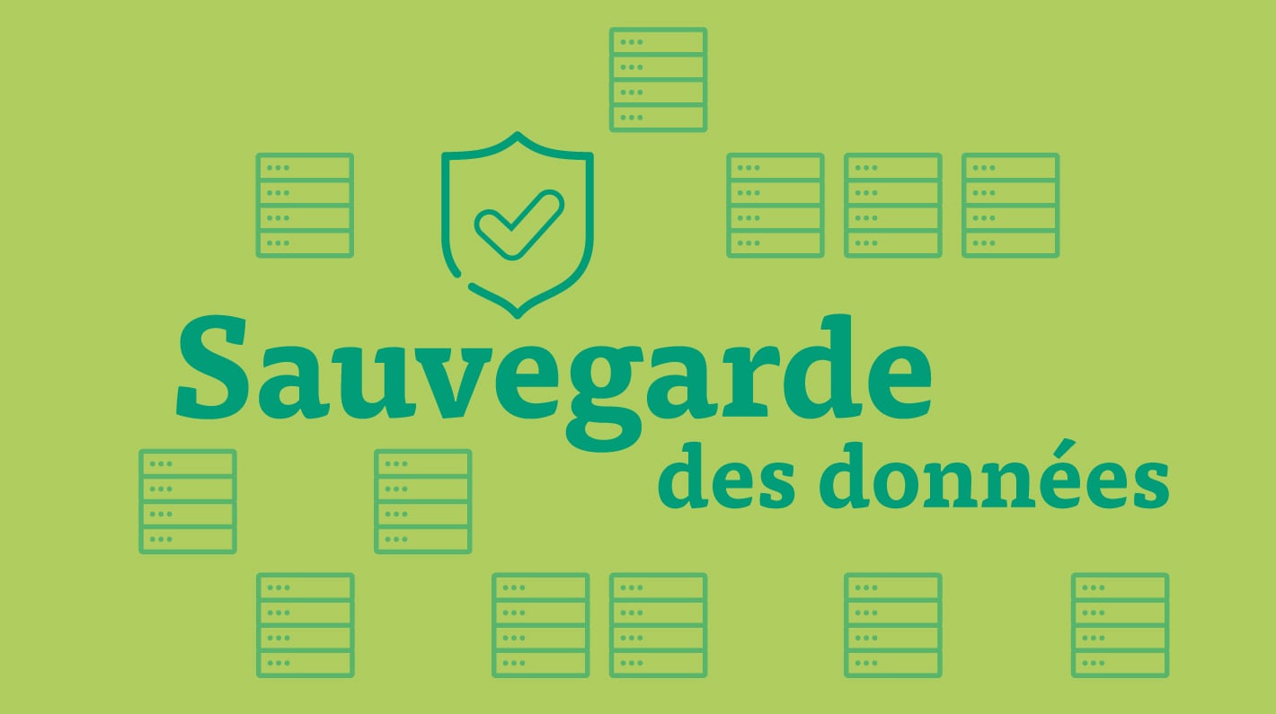 Sauvegarde des données avec backups