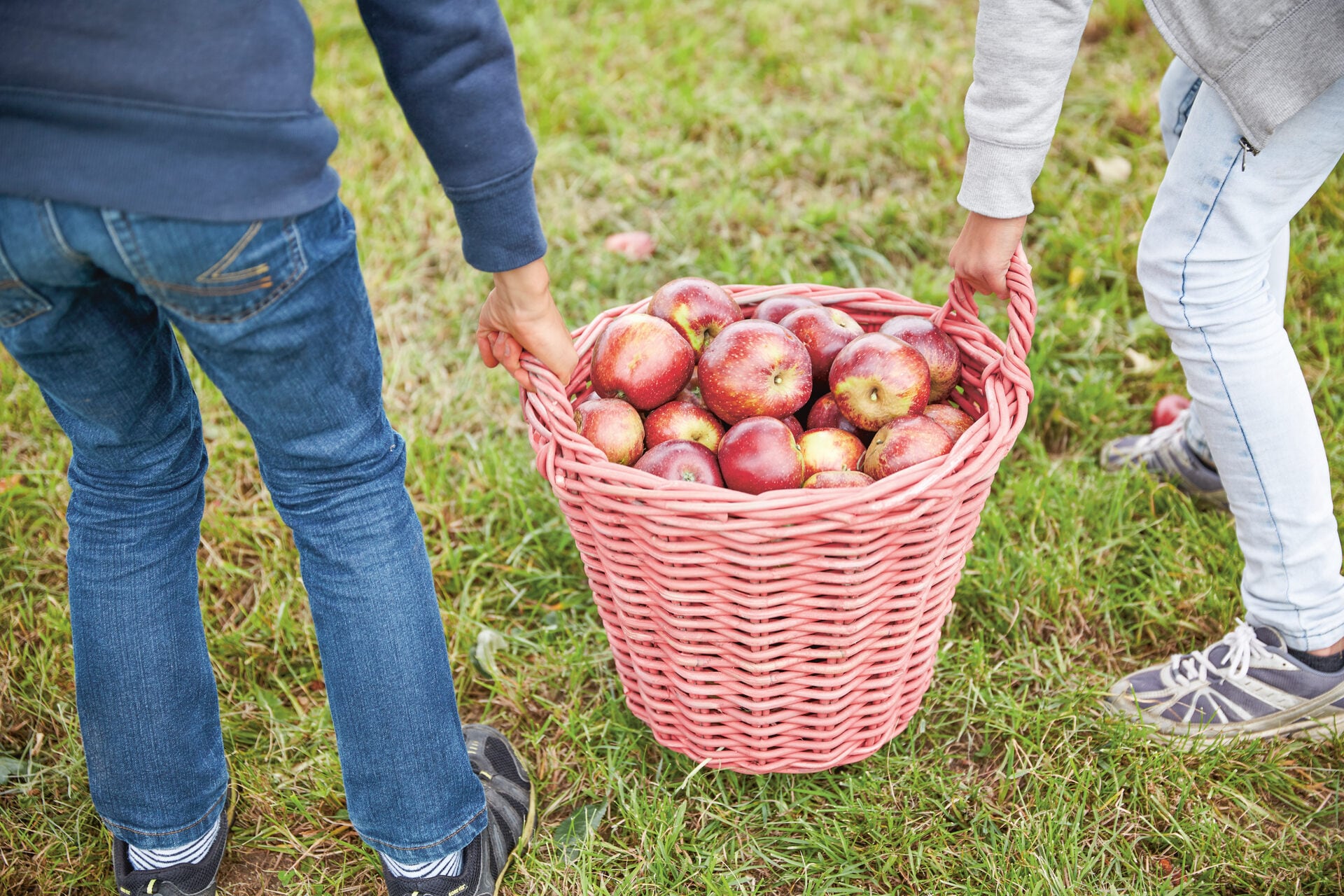 Des placements responsables avec Mobilière Suisse Asset Management | la ...
